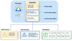 Introduction To Concepts Radiant Logic Documentation