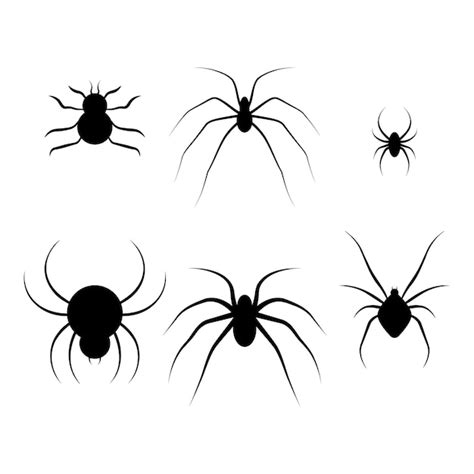 Ensemble D icônes De Silhouette D araignée Isolé Sur Fond Blanc