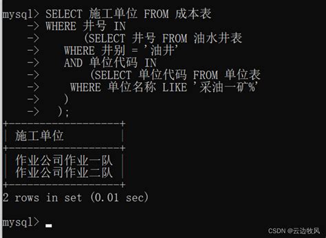 Sql Csdn