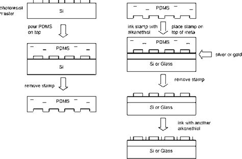 2 A Schematic Outline Of Micropatterning By Preparation Of Pdms Stamp