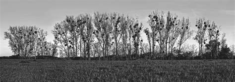 Panorama Du Gui Paysage Photo Gratuite Sur Pixabay Pixabay Panorama Du Gui Paysage Photo Gratuite Sur Pixabay Pixabay