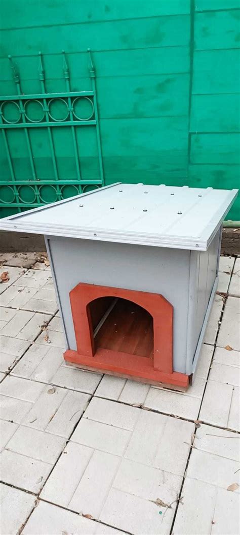 Cusca Pentru Caini Targu Mures • Olx Ro