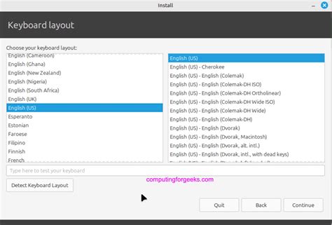 How To Install Linux Mint 22 Wilma Step By Step Computingforgeeks