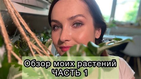 🪴БОЛЬШОЙ ОБЗОР МОИХ ЛЮБИМЫХ РАСТЕНИЙ | НЕПРИХОТЛИВЫЕ РАСТЕНИЯ | ЧАСТЬ 1 ...