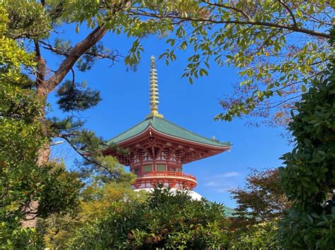Naritasan Shinsho Ji Temple Selfies From The Soccer Pitch
