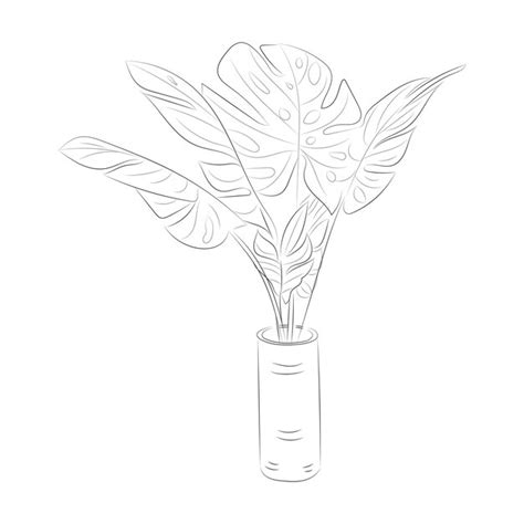 Premium Vector Isolated Tree Rose Flower Hand Drawing Line Art With Leaves