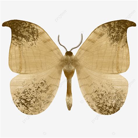 곤충 나비 일러스트 나방 훅 곤충 나비 나방 Png 일러스트 및 Psd 이미지 무료 다운로드 Pngtree