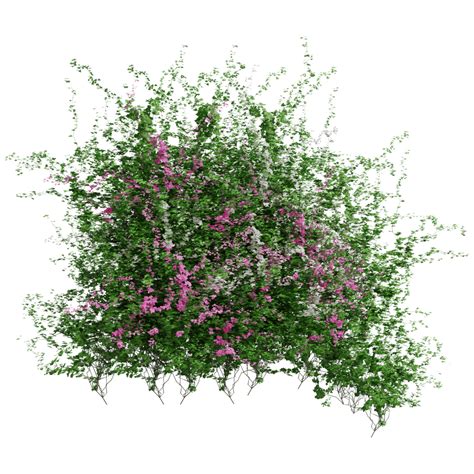 Plants Without Pot 3d Model A23d