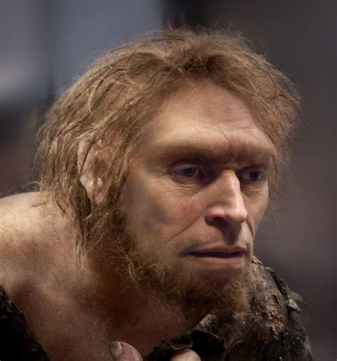 Celebrity Cavemen 20 Famous Folks As Neanderthals If Its Hip Its Here