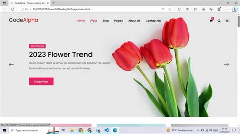 Musharaf Ali On Linkedin Internshipcompleted Webdevelopment
