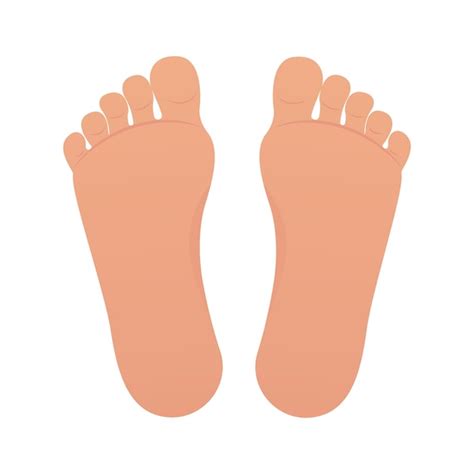 Premium Vector Bare Feet Isolated Vector Illustration Cartoon Graphic