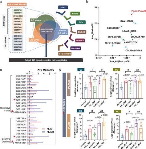 Figure 1 From Targeting Upa Upar Interaction To Improve Intestinal