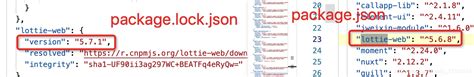关于packagejson 和package Lockjsonpackage Lockjson怎么生成 Csdn博客