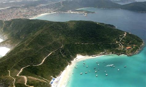 Uma Lei Do Mar é Tão Necessária Como A Lei Da Mata Atlântica Portal