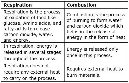 Distinguish Between AS1 Respiration And Combustion