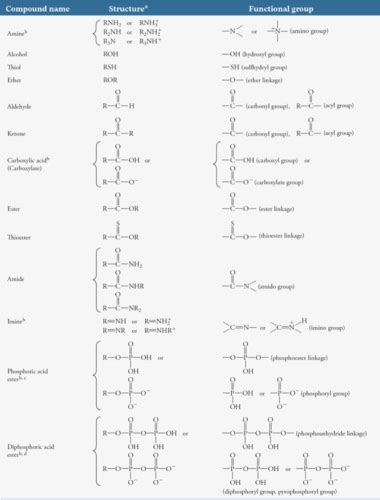 Biochemistry Exam 1 Flashcards Quizlet