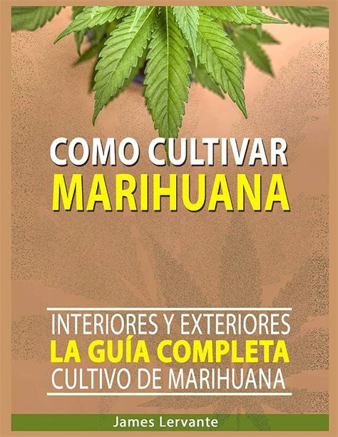 Guía completa Cómo sembrar marihuana en casa de forma exitosa