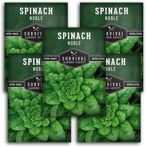 Survival Garden Seeds Noble Semilla De Espinacas Para Plantar 5