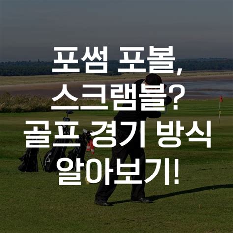 골프에도 팀전이 스크램블 스트로크 포썸 여러가지 골프 경기 방식 알아보기 김캐디 골프 정보