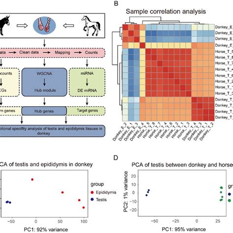 The Gene Expression Landscape Based On The Transcriptome Data Of