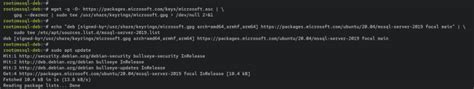 Cómo Instalar Y Utilizar Microsoft Sql Server En Debian Howtoforge