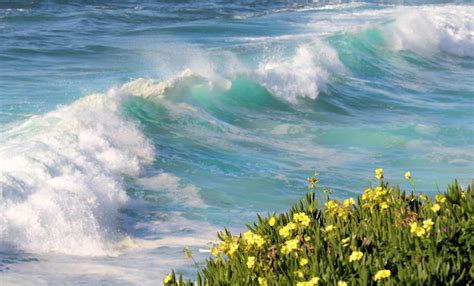 Ocean Waves Photograph By Jane Girardot Pixels