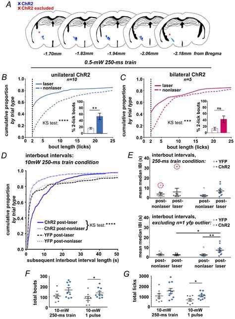 Figures And Data In Causal Role For The Subthalamic Nucleus In Interrupting Behavior Elife
