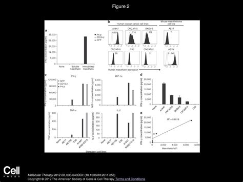 Volume 20 Issue 3 Pages March 2012 Ppt Download