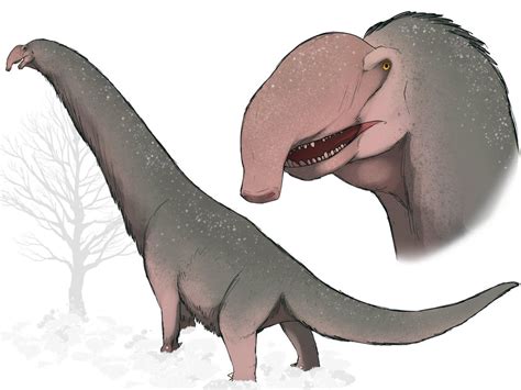 Feathered Trunked Sauropod Art By Fyutyrannus R Dinosaurs