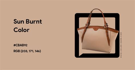 Sun Burnt Color Hex Code Is Cbab92 Sun Burnt Color Hex Code Is Cbab92