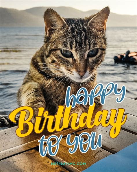 Free Funny Cat Happy Birthday Image