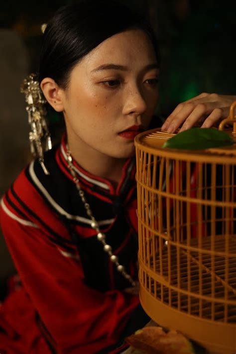 갈색 머리 고요한 고요함 따뜻한 음색 명상 적 모델 문화 유산 문화적 복장 미묘한 반사 보석 빈티지 스타일 빨간 드레스 사색 중인 새장 섬세한