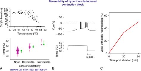 Radiofrequency Ablation Clinical Tree