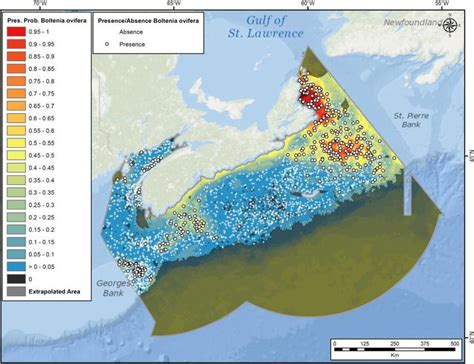 Presence And Absence Observations And Predictions Of Presence Download Scientific Diagram