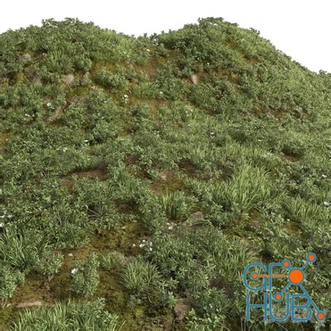 3d Model Grass Collection For Landscape No12 86555