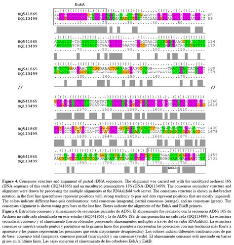 Creationism Versus Science An Over Look Through Li On Emaze