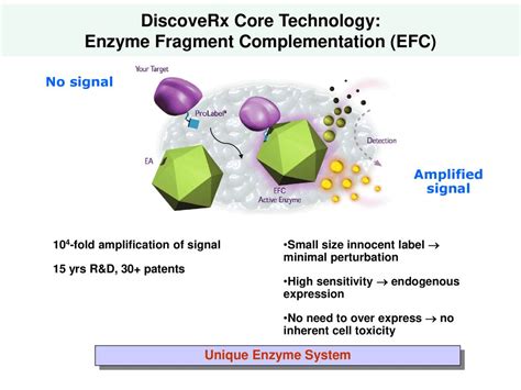 Bioinorganic And Immunoassay Group Seoul Womens University Ppt Download