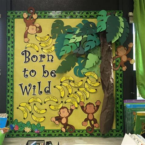 Born To Be Wild Jungle Theme Classroom Birthday Board