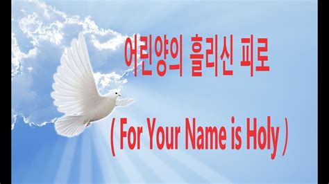 어린양의 흘리신 피로 For Your Name Is Holy 1시간 기도 찬양 Youtube