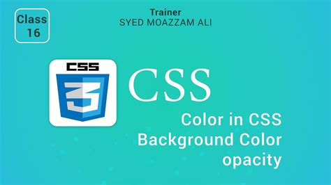 16 Color In Css Hex Rgba Html And Css Tutorial For Beginner