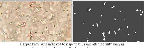 Figure 8 From New Image Pre Processing Methods For Tracking Various
