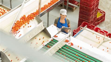 La Gestión De Procesos En La Industria Alimentaria Unir