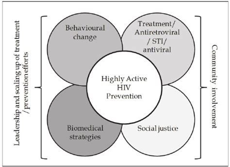Highly Active Hiv Prevention Programme Coates Et Al 2008 The