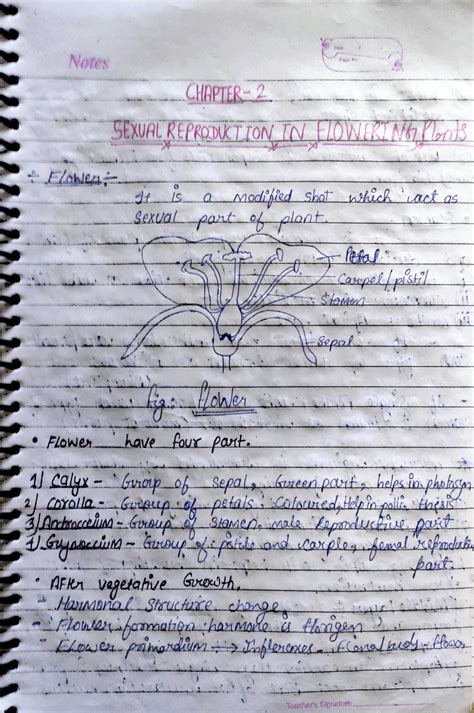Solution Sexual Reproduction In Flowering Plants Biology Notes For