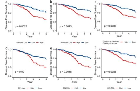 Kaplan Meier Curves Of Disease Free Survival Dfs Probabilities