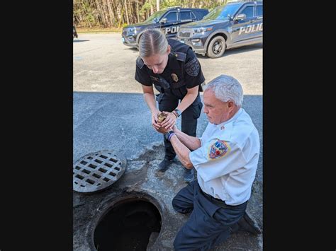 Coventry Police Save 12 Ducklings After They Fall In Storm Drain