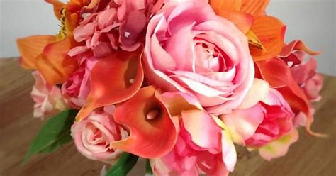 Baboon Face Album On Imgur