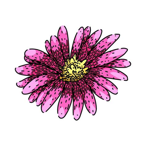 Flower Aster Sketch Hand Drawn 51181177 Vector Art At Vecteezy