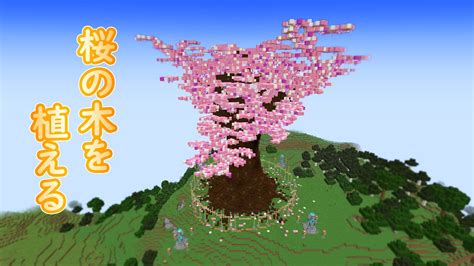 【マイクラ】桜の木を作ってみた 41 Youtube