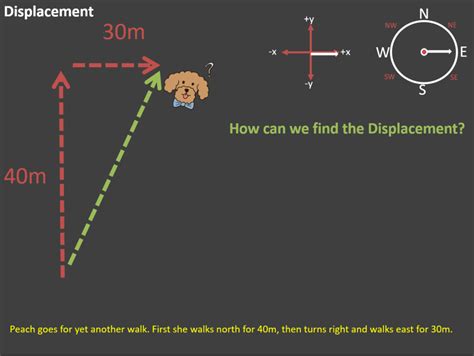 GCSE Physics Scalars And Vectors Distance And Displacement